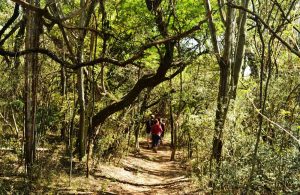 Hiking at Taroko Trail Park, Modderfontein | Never-ending Nature