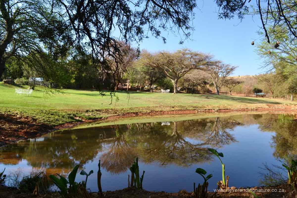 Get in touch with nature at Farmhouse at 58 | Never-ending Nature