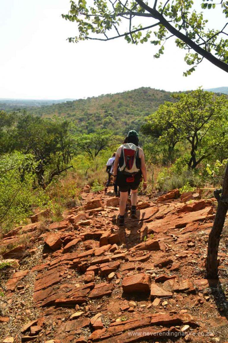 Nine hobbies to get you closer to nature - Never-ending Nature