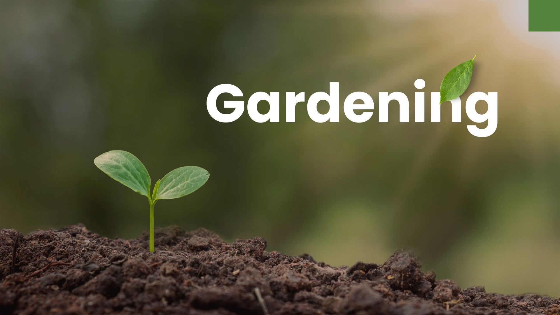 Conservation in your home garden | Never-ending Nature