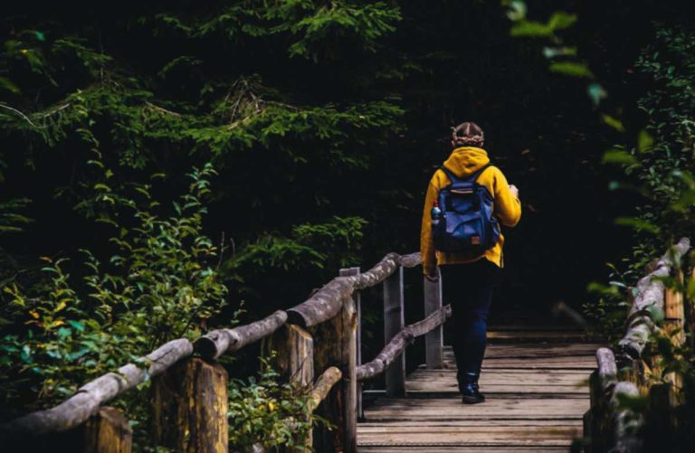 Hiking at Taroko Trail Park, Modderfontein | Never-ending Nature